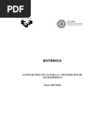 Glosario de briofitos y caulidios | PDF | Hoja | Plantas