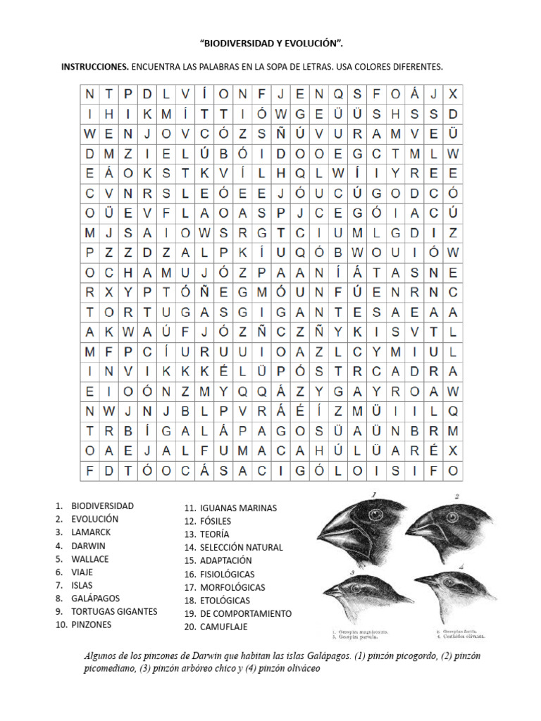 Sopa de Letras Darwin | PDF