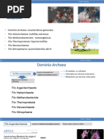 Halobacterium Salinarum | PDF | Bacteriorhodopsin | Fotosíntesis