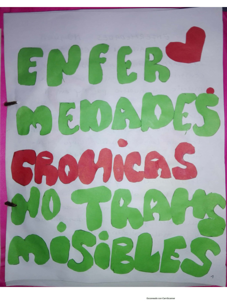 Cartilla de ECNT Y HVS | PDF