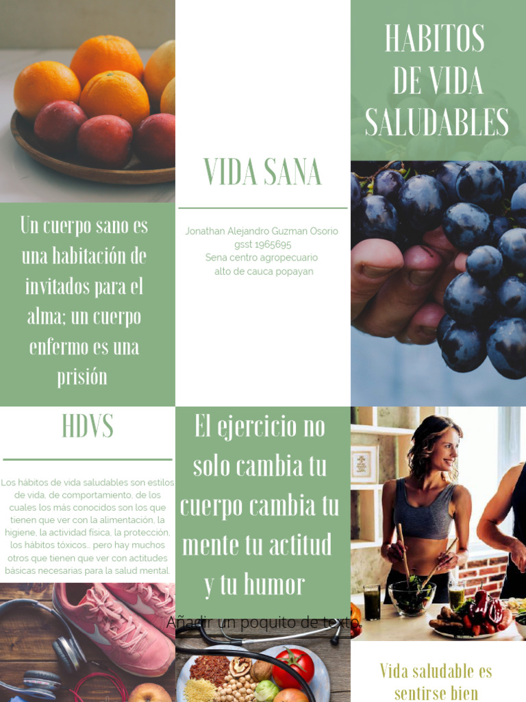 Folleto Vida Saludable | PDF