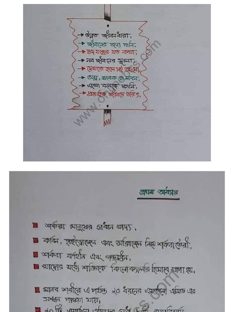 The Best Notes of General Science | PDF