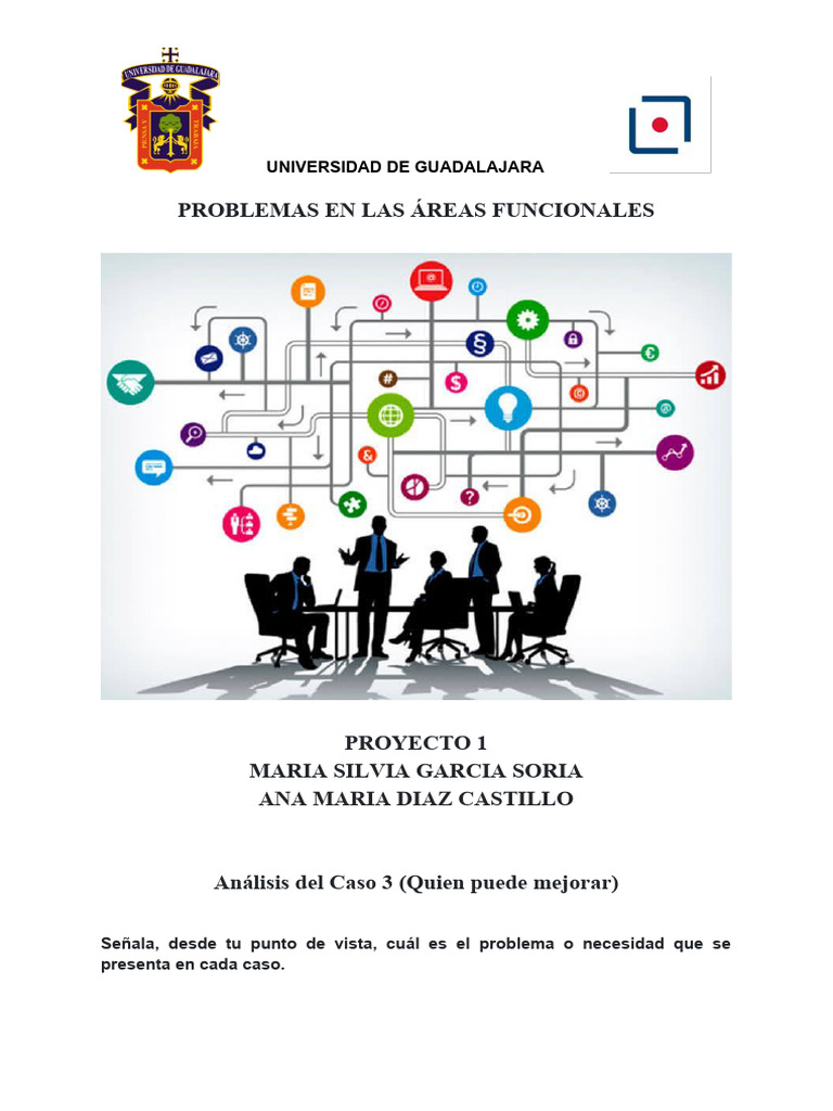 2.3 Problemas en Las Areas Funcionales | PDF