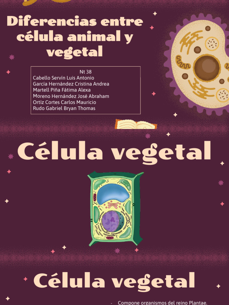 Anatomy and Physiology Major For College Cell Biology | PDF | Biología ...