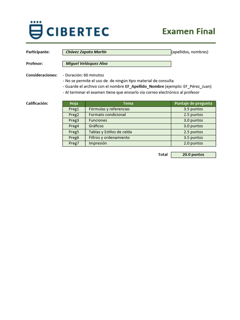 EF - Martin Chavez Zapata - Excel 2019 Básico | PDF