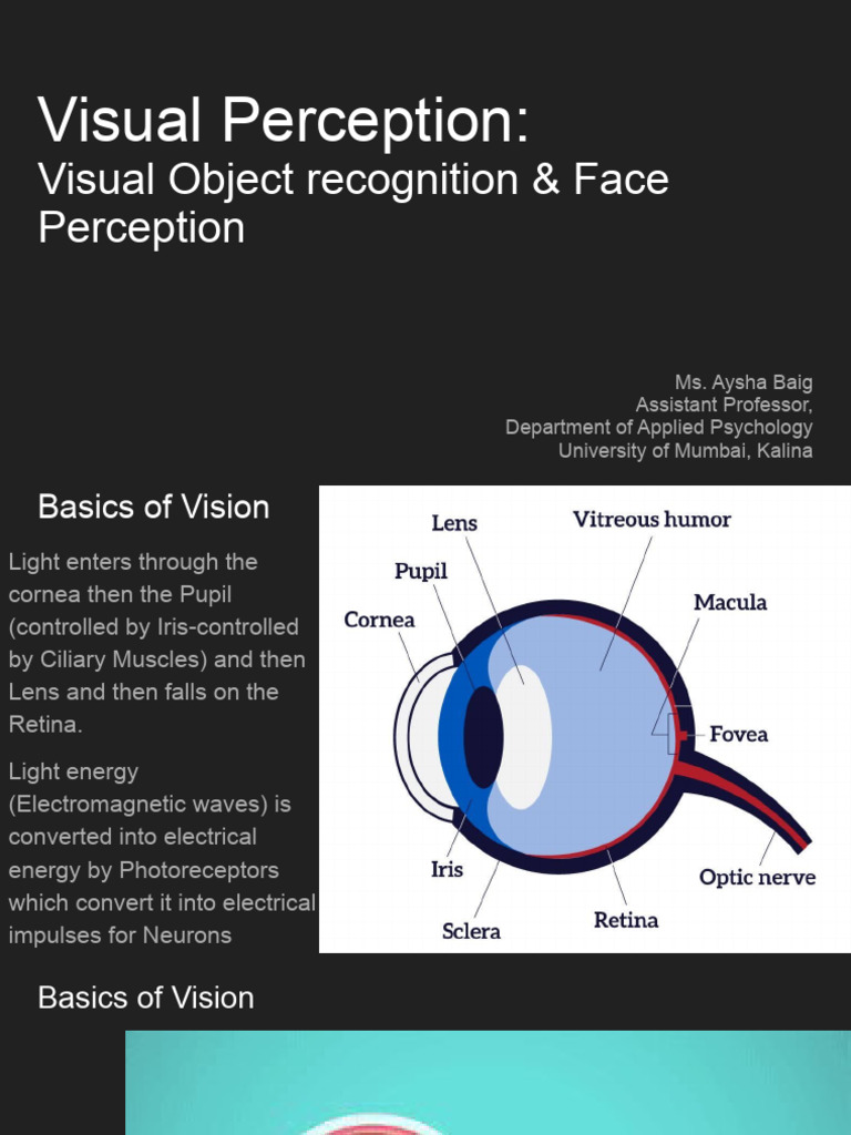 1.b.visual Perception | PDF