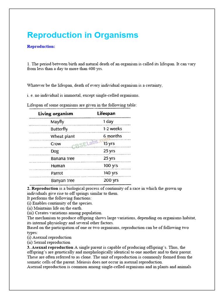 Reproduction in Human | PDF | Wellness