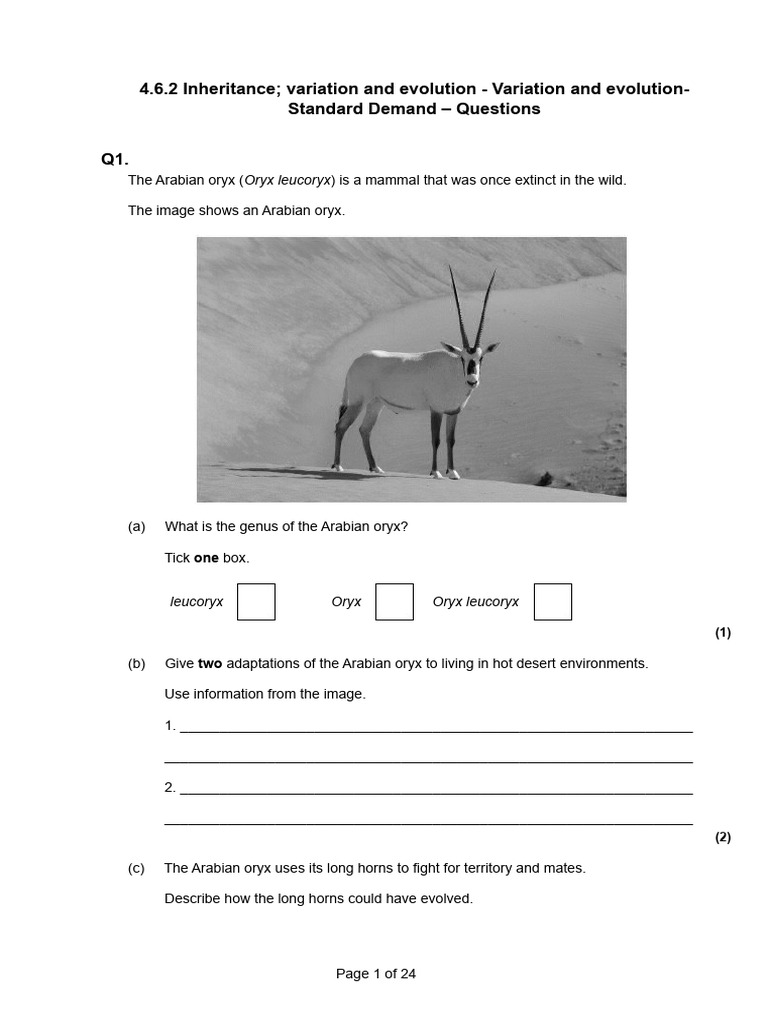 Evolution of Horses and Related Species | PDF
