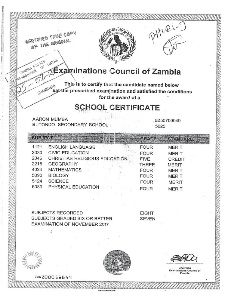 Mr Aaron grade 12 | PDF