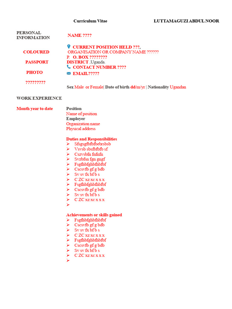 CV Template | PDF | Computing