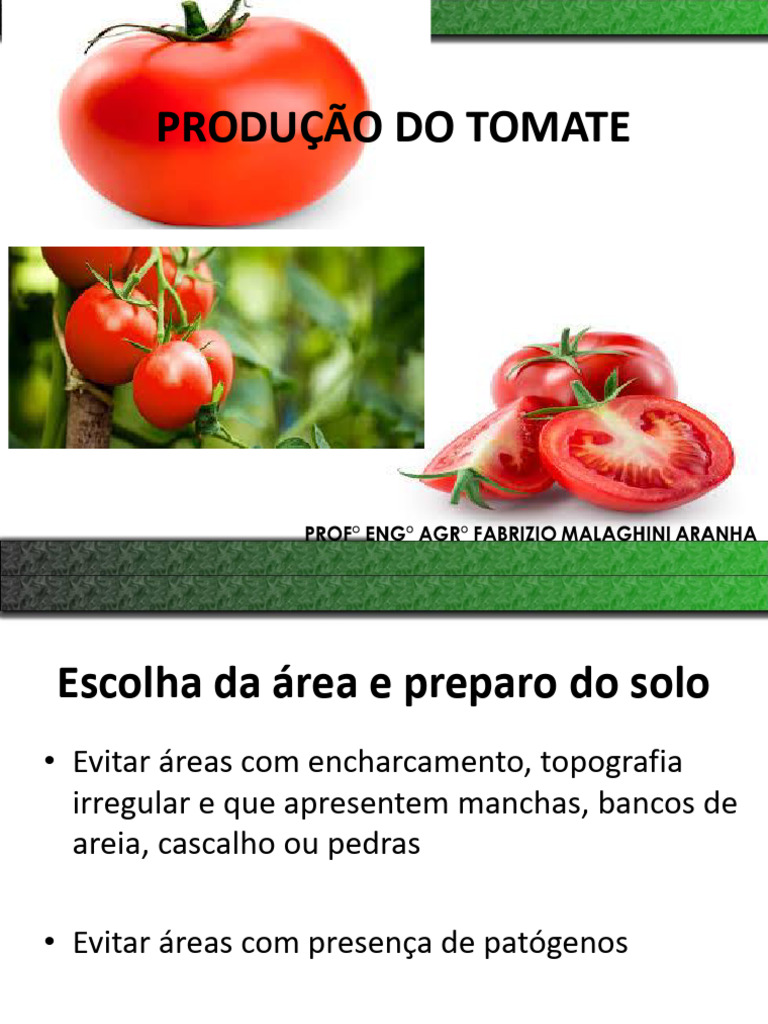 Cultura Do Tomate Aula 2 | PDF