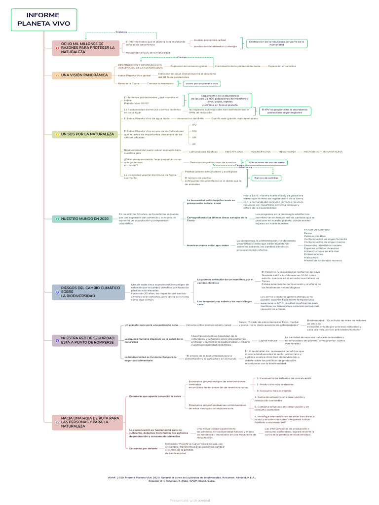 Grupo 2 - Mapa Conceptual Informe Planeta Vivo | PDF