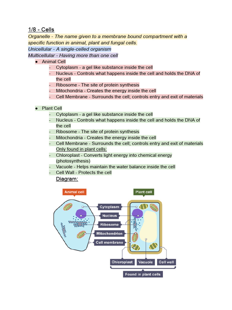 Science Notes KS3 | PDF | Cell (Biology) | Waves