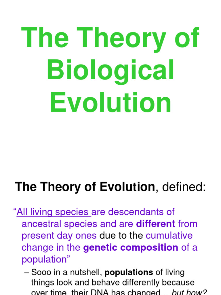 Evolution - Nuts and Bolts Updated PDF | PDF | Home & Garden | Wellness