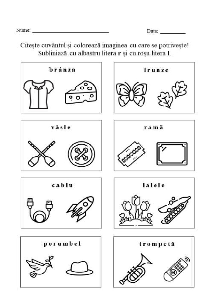 Fisa de Lucru R | PDF