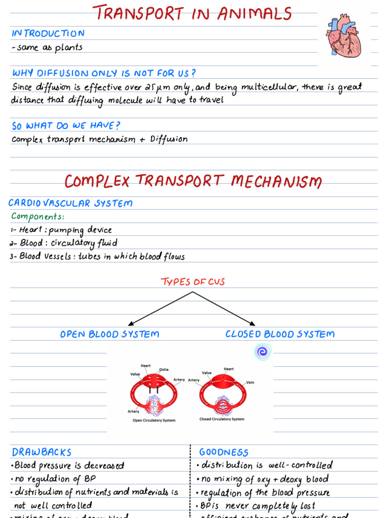 Biology | PDF | Atrium (Heart) | Ventricle (Heart)