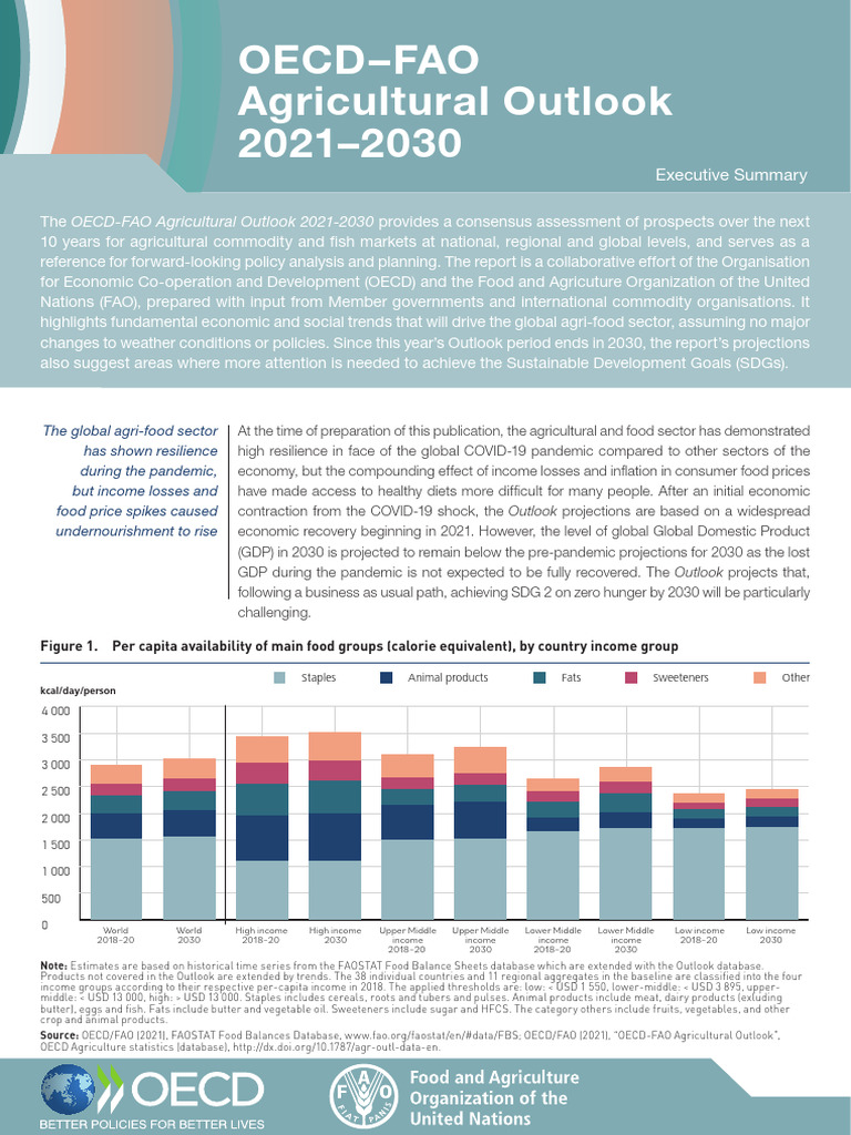 OECD-FAO Executive Summary - June21 - EN | PDF