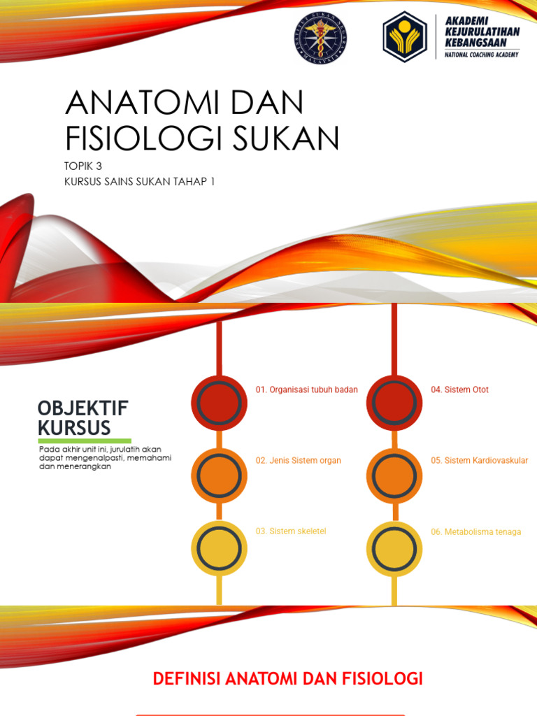 T1 Anatomi Dan Fisiologi Sukan | PDF