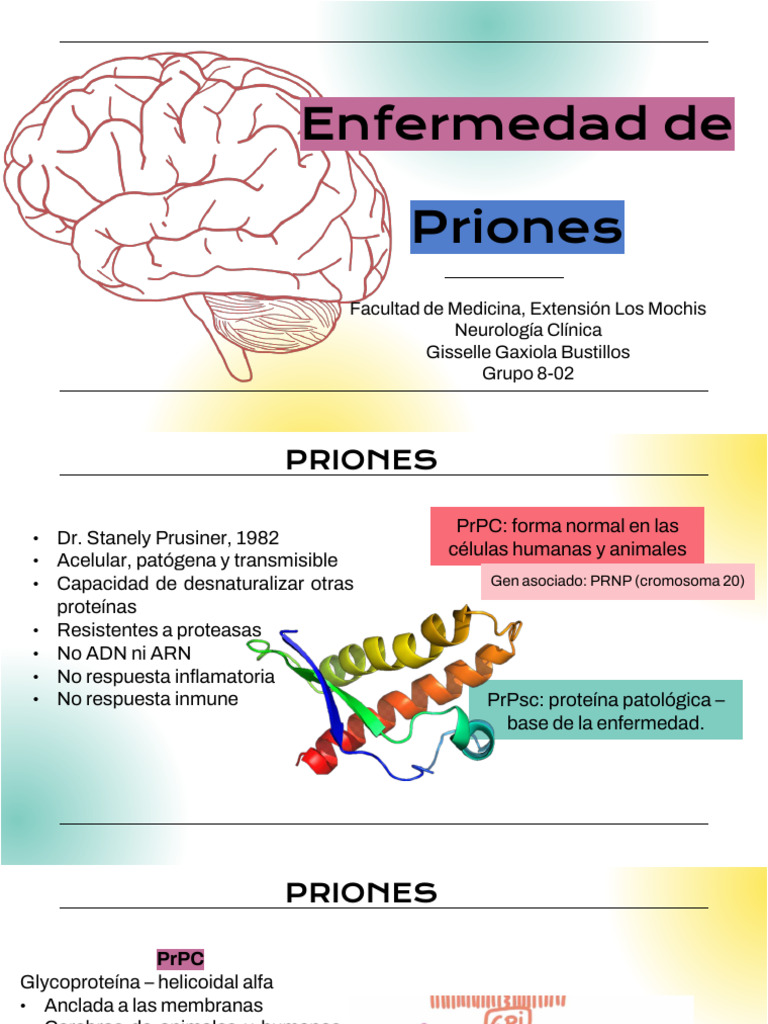Enfermedad Por Priones | PDF