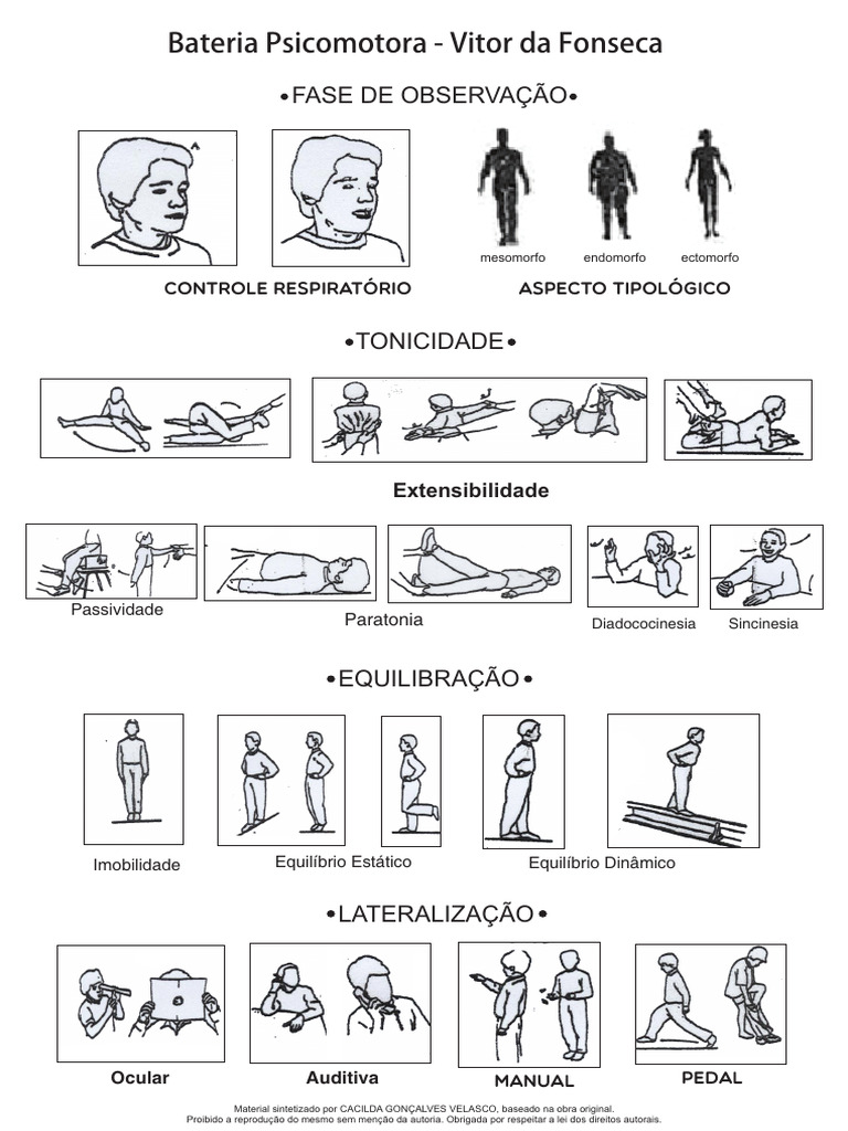Bateria Psicomotora de Vitor da Fonseca | PDF