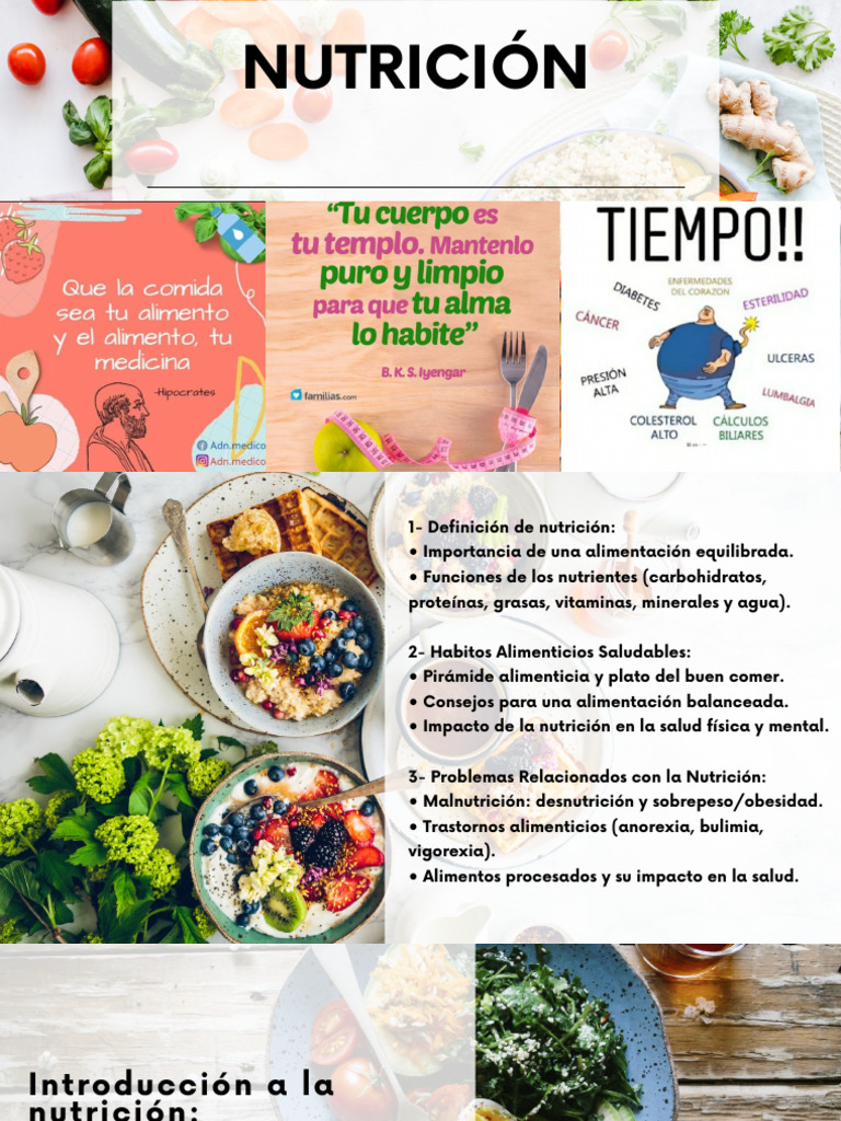 Presentación Alimentación y Nutrición | PDF