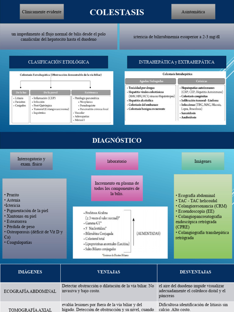 Colestasis | PDF | Órgano (anatomía) | Hígado