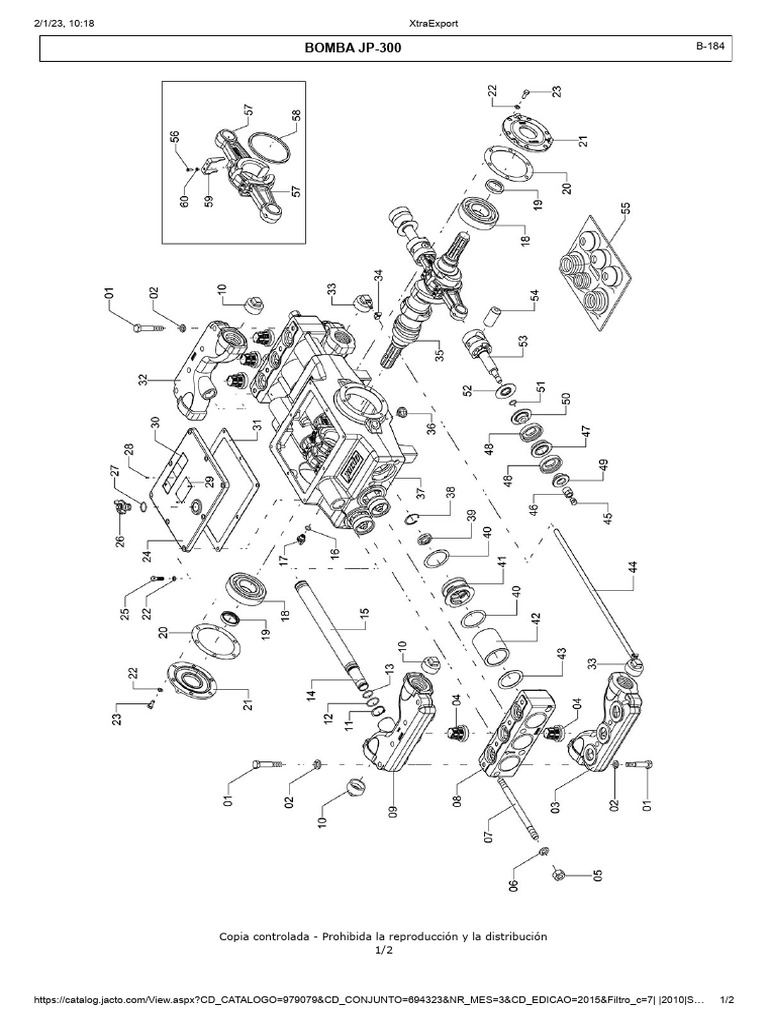 Repuestos para Bomba JP-300 Jacto | PDF | Motores | Partes de vehículo