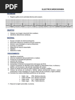 Colocacion de Monitor y Electros | PDF | Electrocardiografia | Presión sanguínea