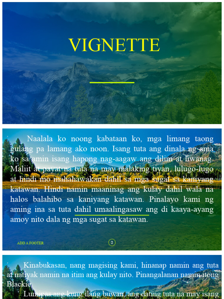 Ppt 1- Vignette | PDF