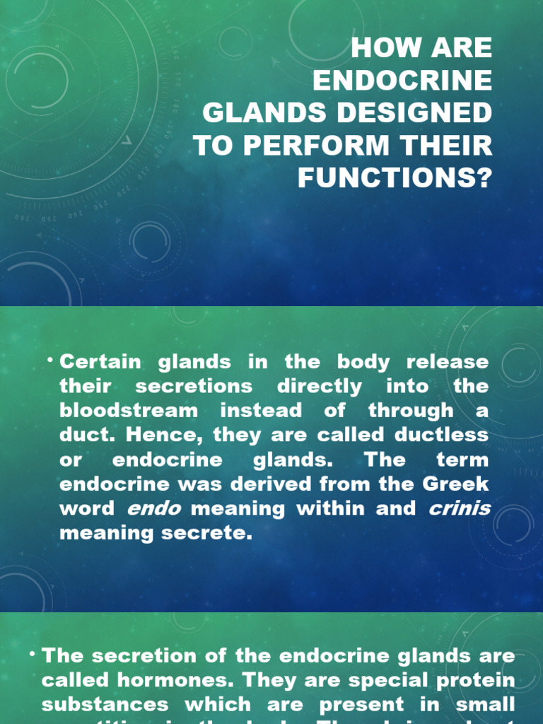 How Are Endocrine Glands Designed To Perform Their | PDF | Endocrine ...