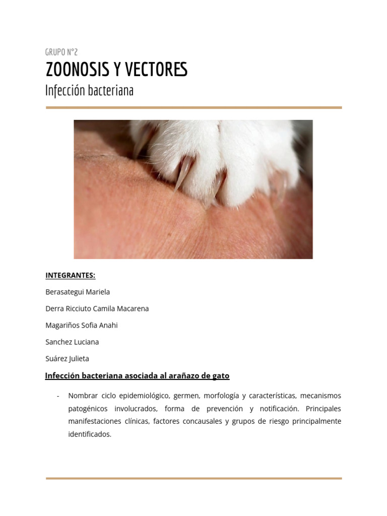 Zoonosis y Vectores | PDF | Inflamación | Infección