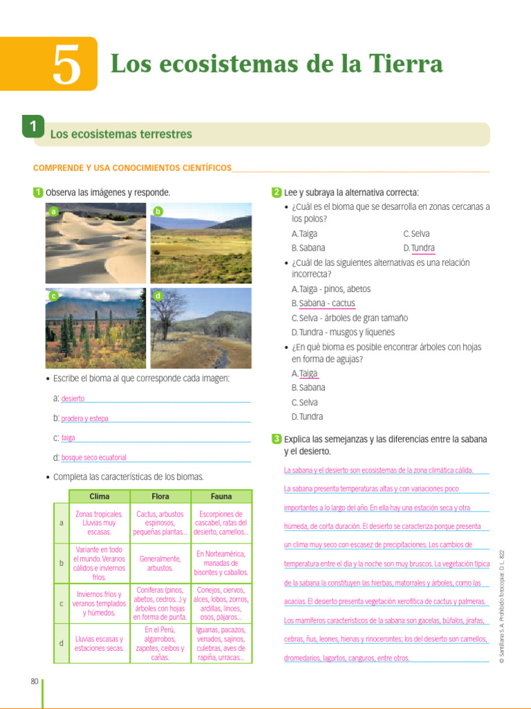 UNIDAD 5 Los Ecosistemas de La Tierra | PDF | Ecosistema | Desierto