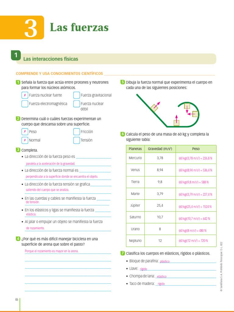 Guía de Fuerzas y Leyes de Newton | PDF | Fuerza | Fricción