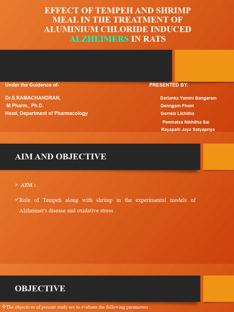 Project PPT 2023 | PDF | Chemistry | Chemical Substances