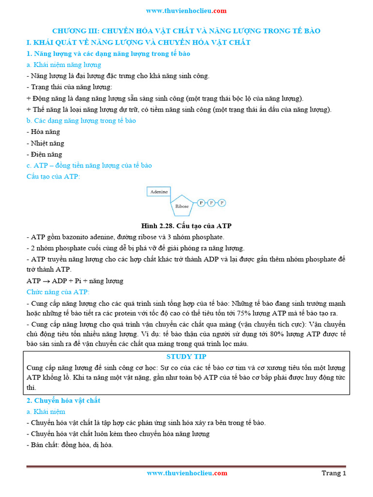 Bai Tap Chuong III Chuyen Hoa Vat Chat Va Nang Luong Trong Te Bao | PDF