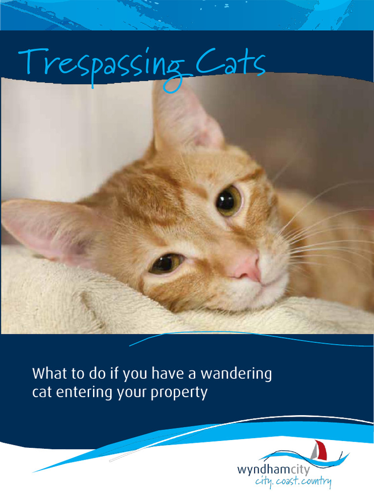 Trespassing Cats Booklet | PDF