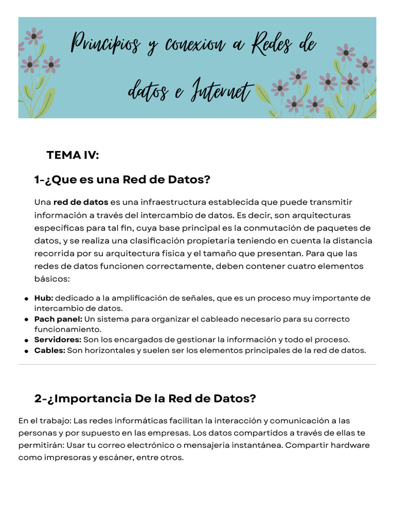 Principios y Conexion A Redes de Datos e Internet | PDF