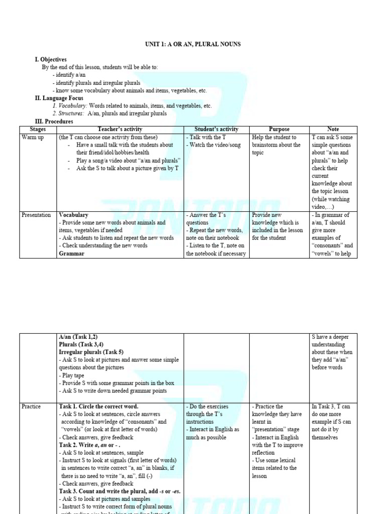 Understanding A/An and Plurals | PDF