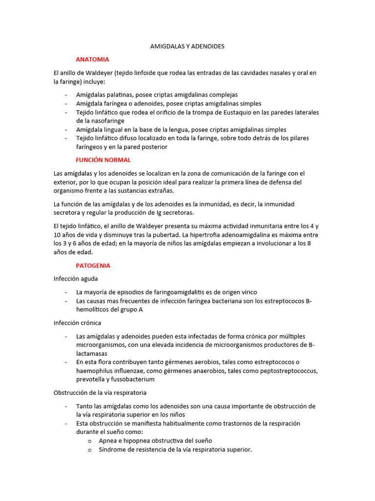 Amígdalas y Adenoides: Anatomía y Función | PDF