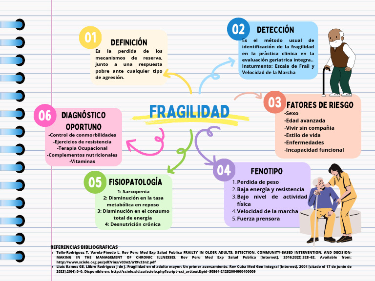 Fragilidad Del Adulto Mayor | PDF | Enfermedades y trastornos humanos ...