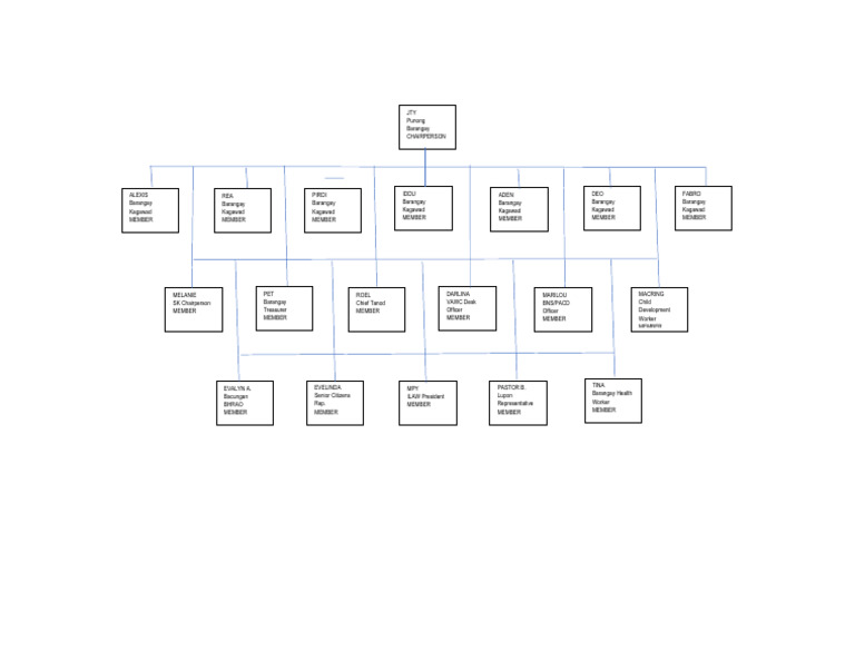 BPIAC Org Chart Drawing | PDF