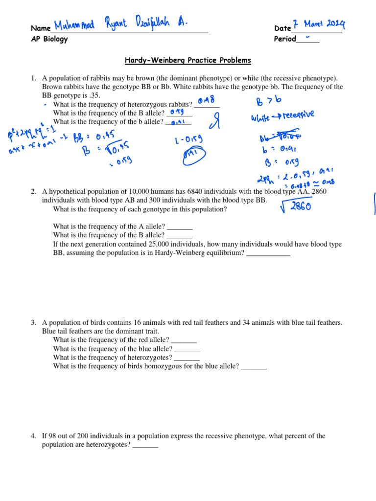 AP Biology: Hardy-Weinberg Problems | PDF | Dominance (Genetics) | Zygosity