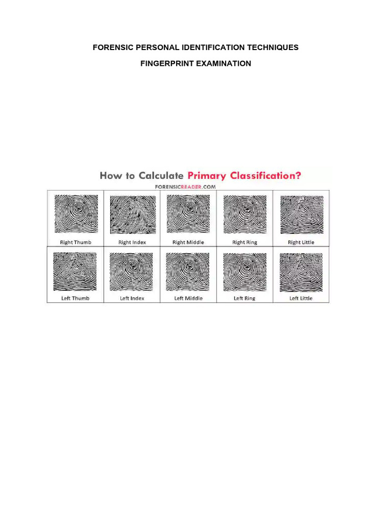 Fingerprint Examination Techniques | PDF | Fingerprint | Forensic Science