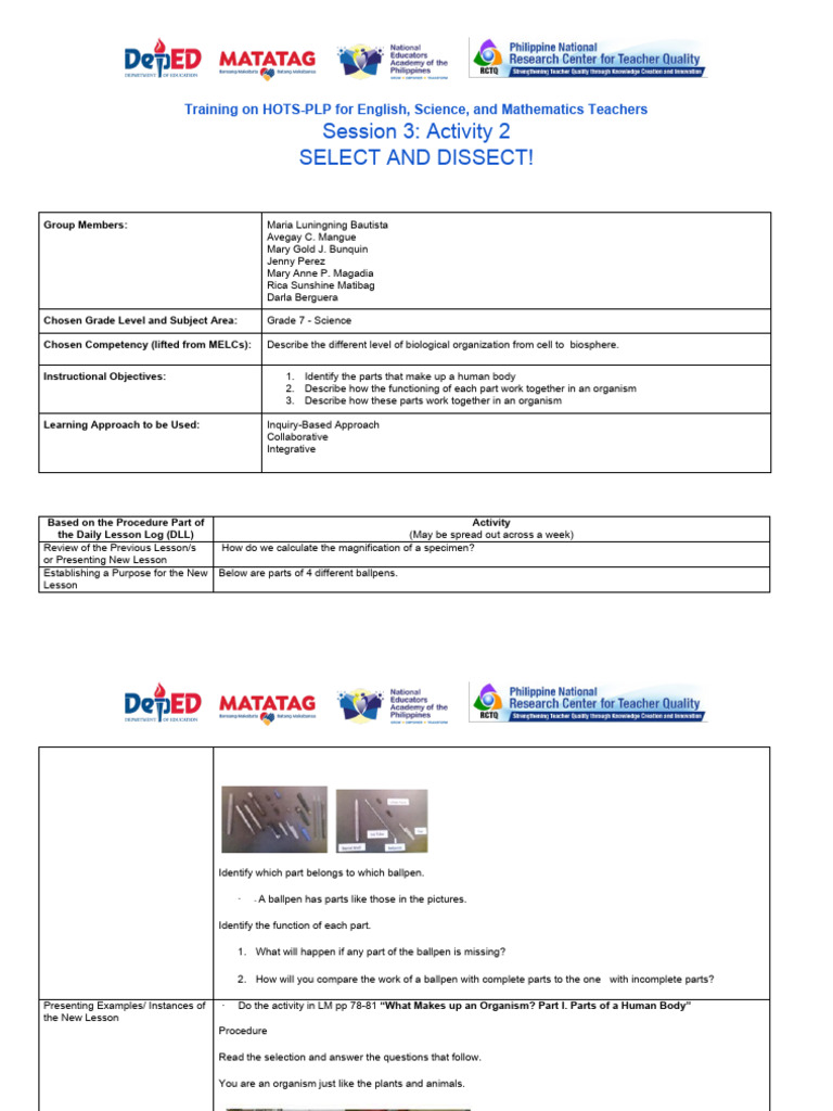 Session 3 - Select and Dissect Group Template | PDF | Medicine | Zoology