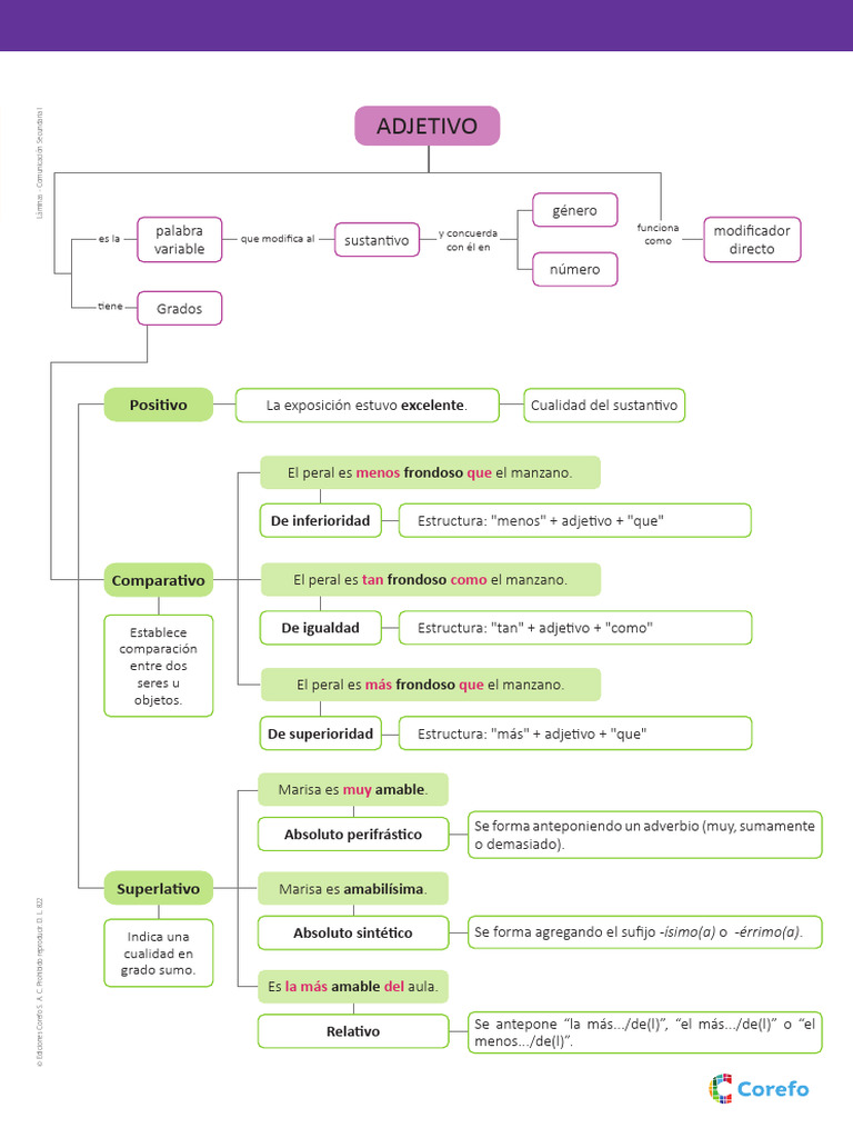 Lámina - Adjetivo | PDF | Adjetivo | Sintaxis