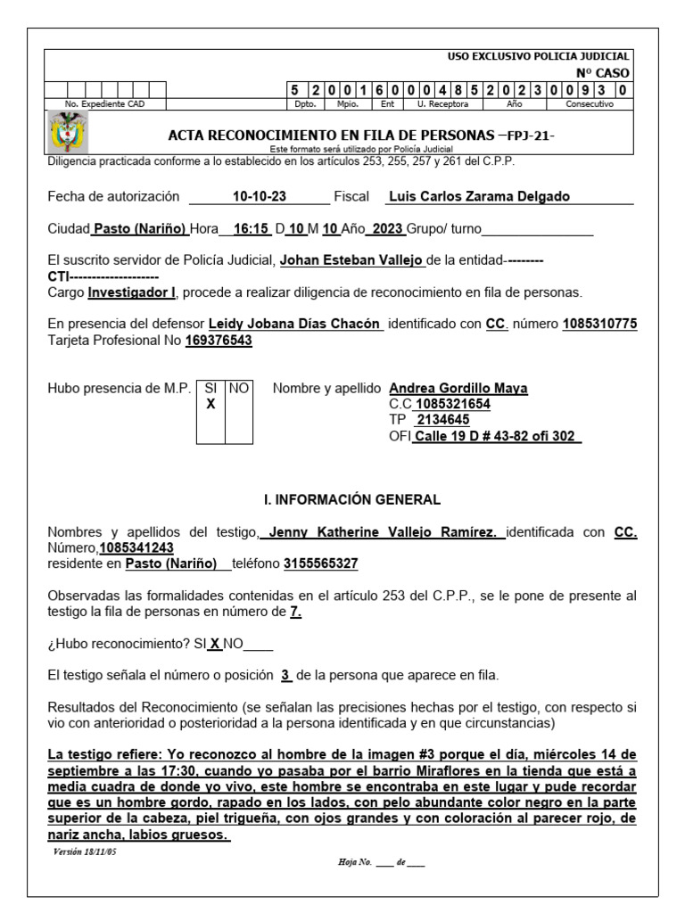 FPJ-21 Acta Reconocimiento en Fila de Personas | PDF