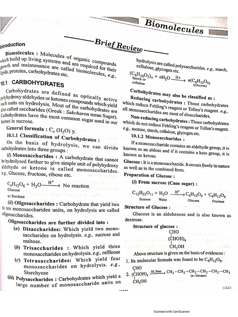 Brief Review of Biomolecules | PDF