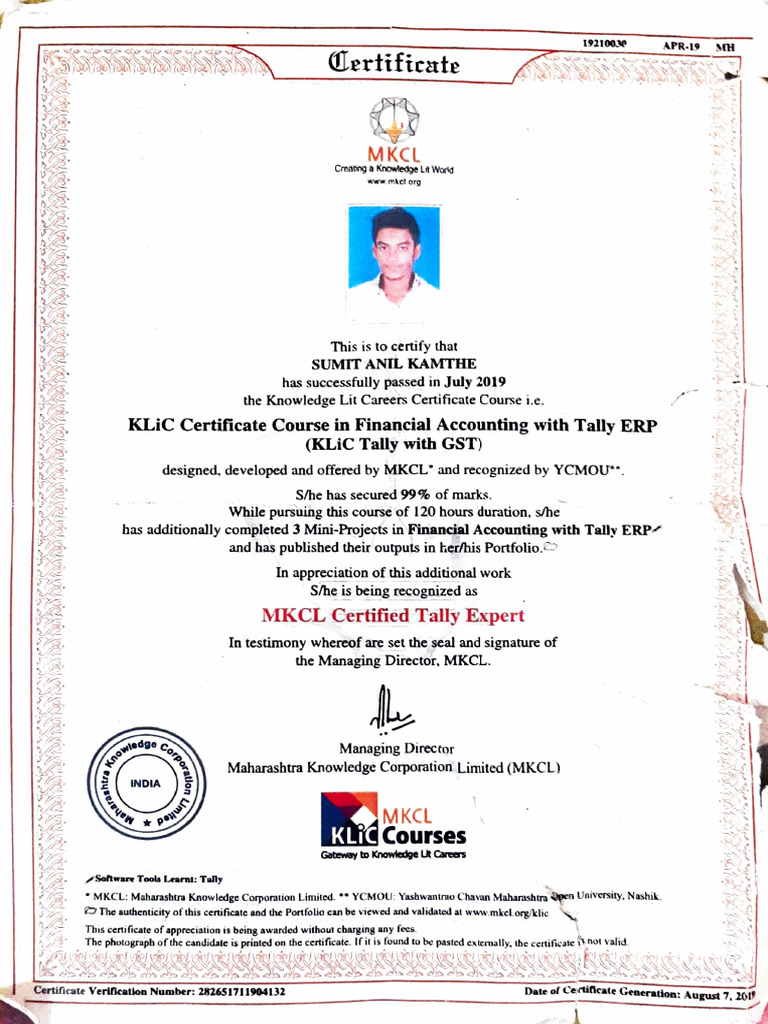 Tally Certificate - Sumit | PDF