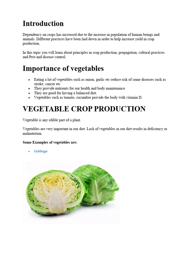Introduction To Vegetable | PDF | Vegetables | Horticulture