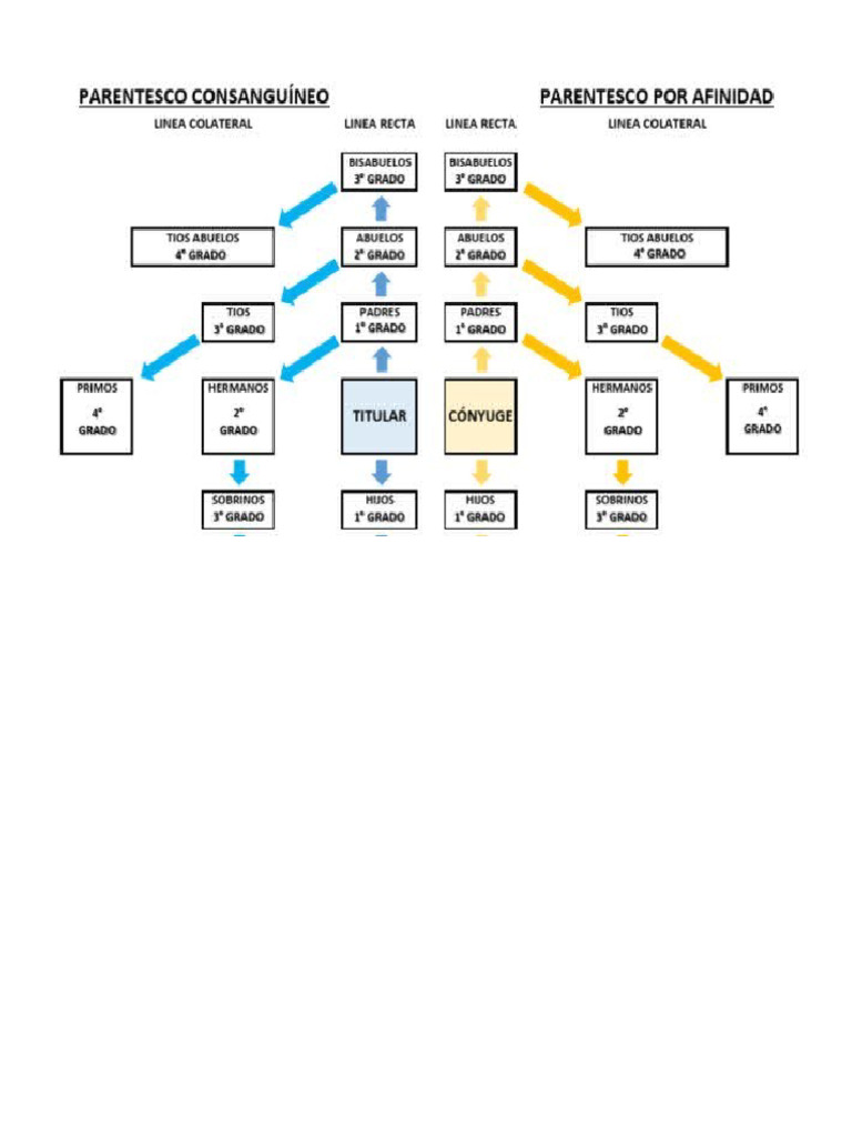 Esquema (1) Lineas de Parentesco | PDF